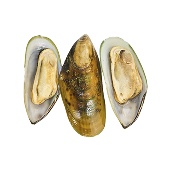 Mossel - Urker Seafood