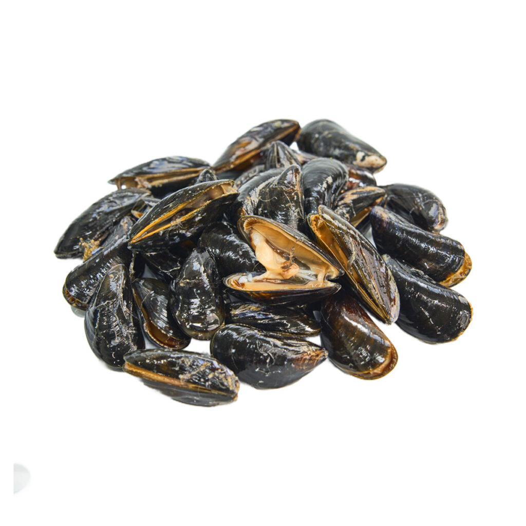 Home - Urker Seafood
